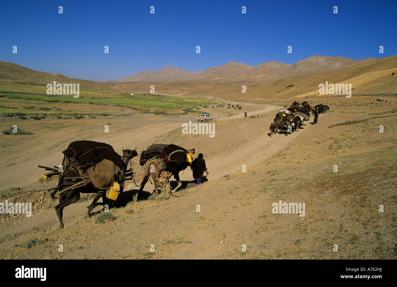 Kuchie camel train between Chakhcharan and Djam Afghanistan Asia Stock ...