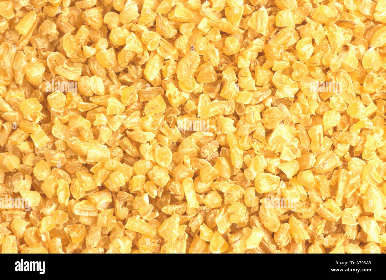 Sour fungi mushroom dry dried chinese kitchen Stock Photo - Alamy