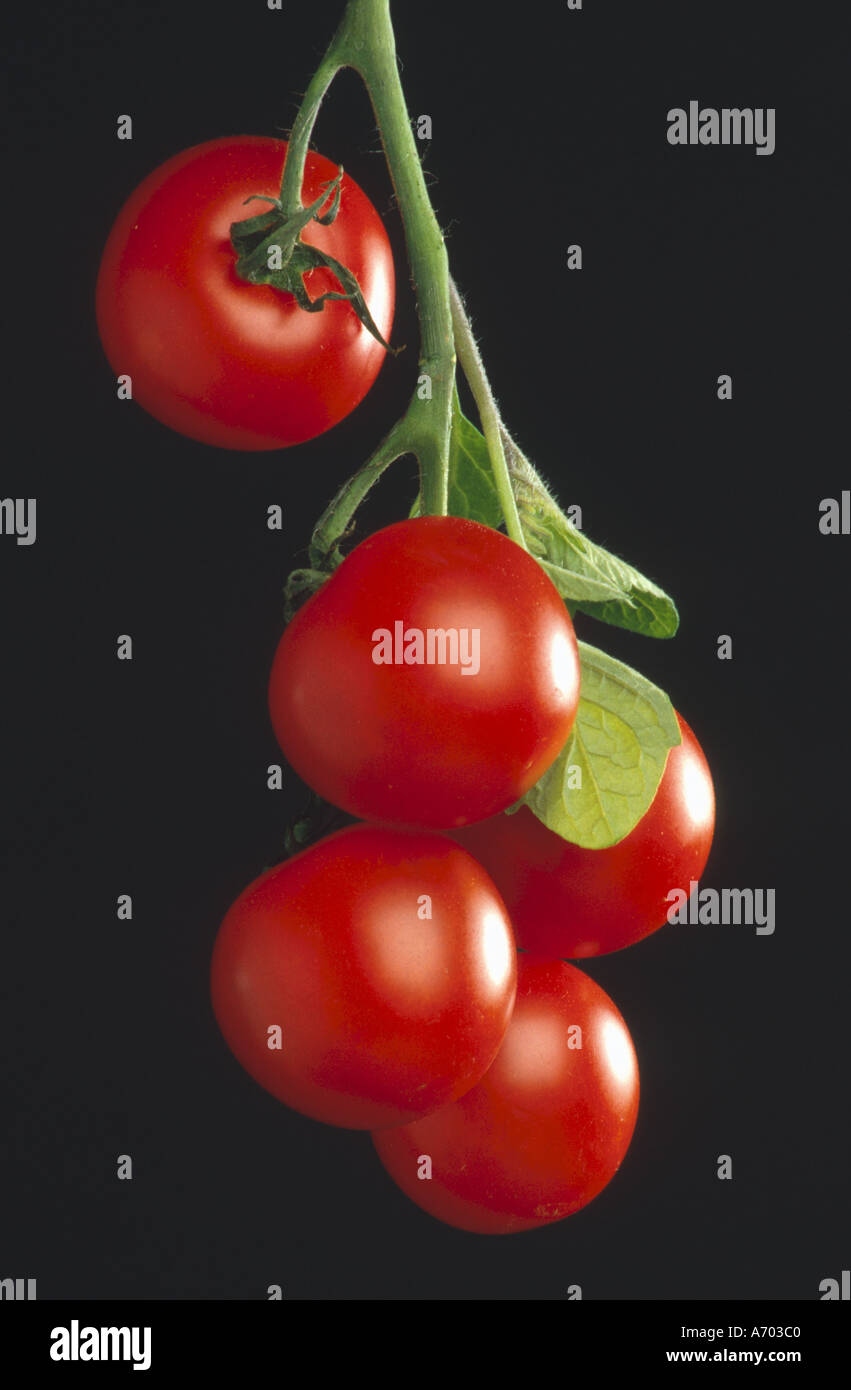food vegetable fruit fruits tomato tomatoes Stock Photo - Alamy