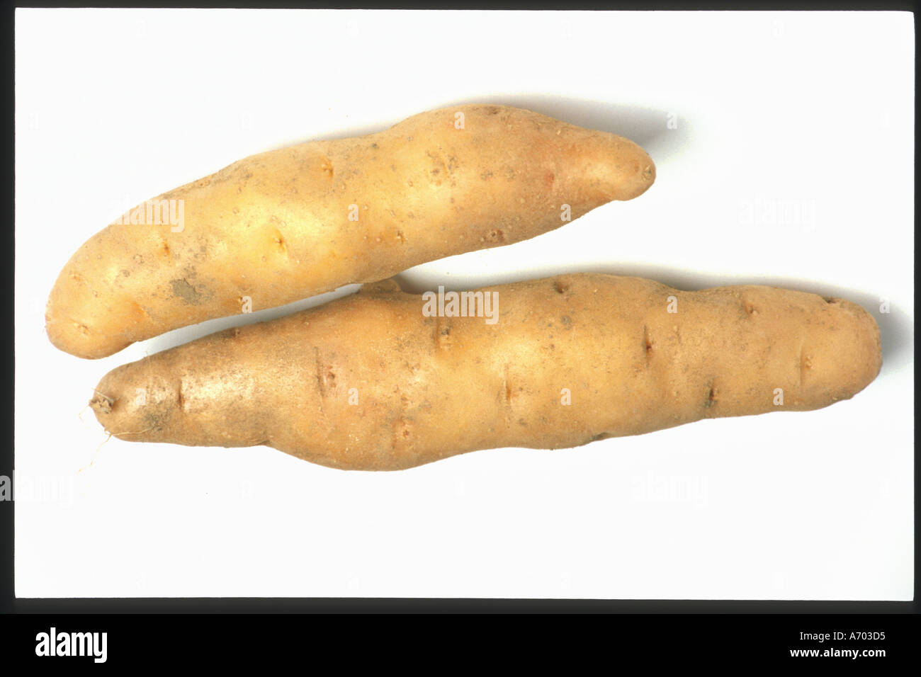 Bamberger hornchen hi-res stock photography and images - Alamy