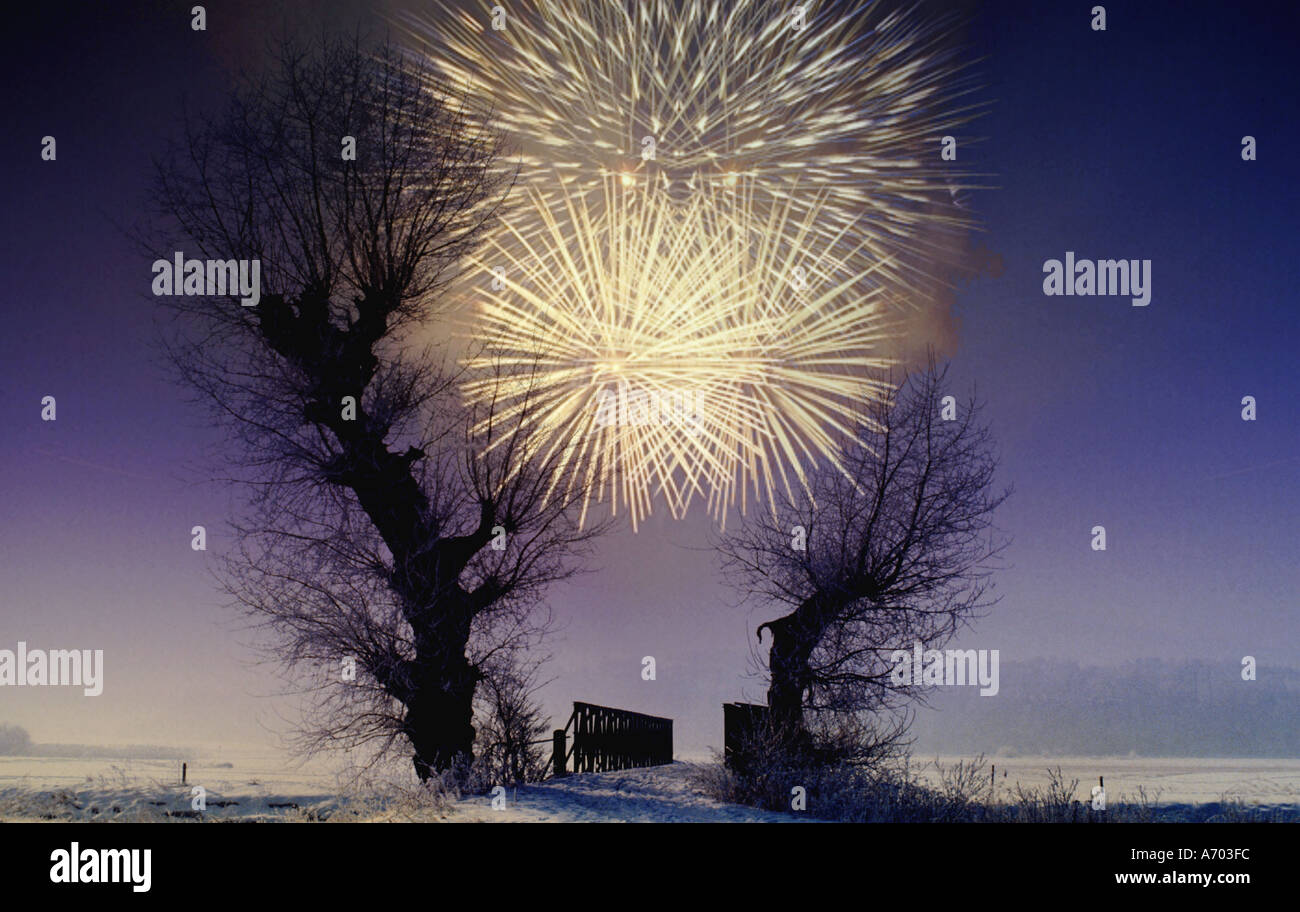 fireworks firework light between two willow trees small bridge barrage ...