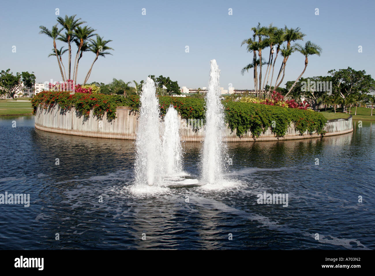 Hollywood Florida,Westin Diplomat Resort,golf course,sport,athlete ...