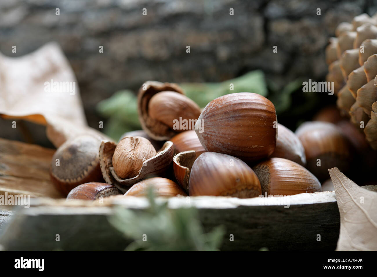 Hazelnuts on country setting some opened Stock Photo - Alamy