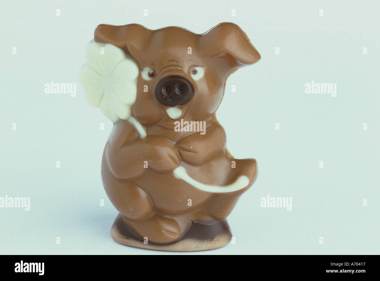 chocolate figure pig piglet little food sweets Stock Photo - Alamy