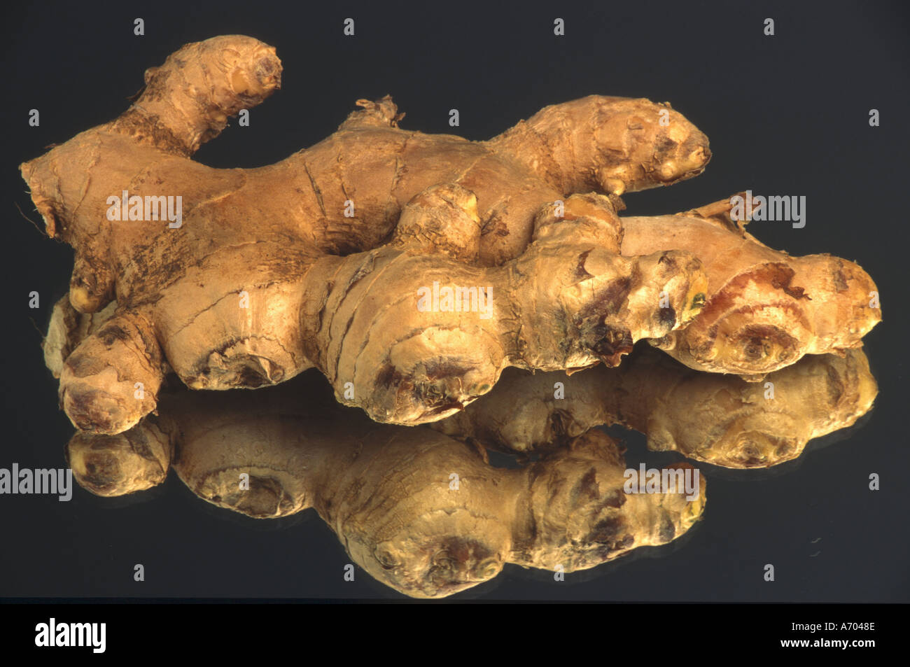 Ingwer hi-res stock photography and images - Alamy