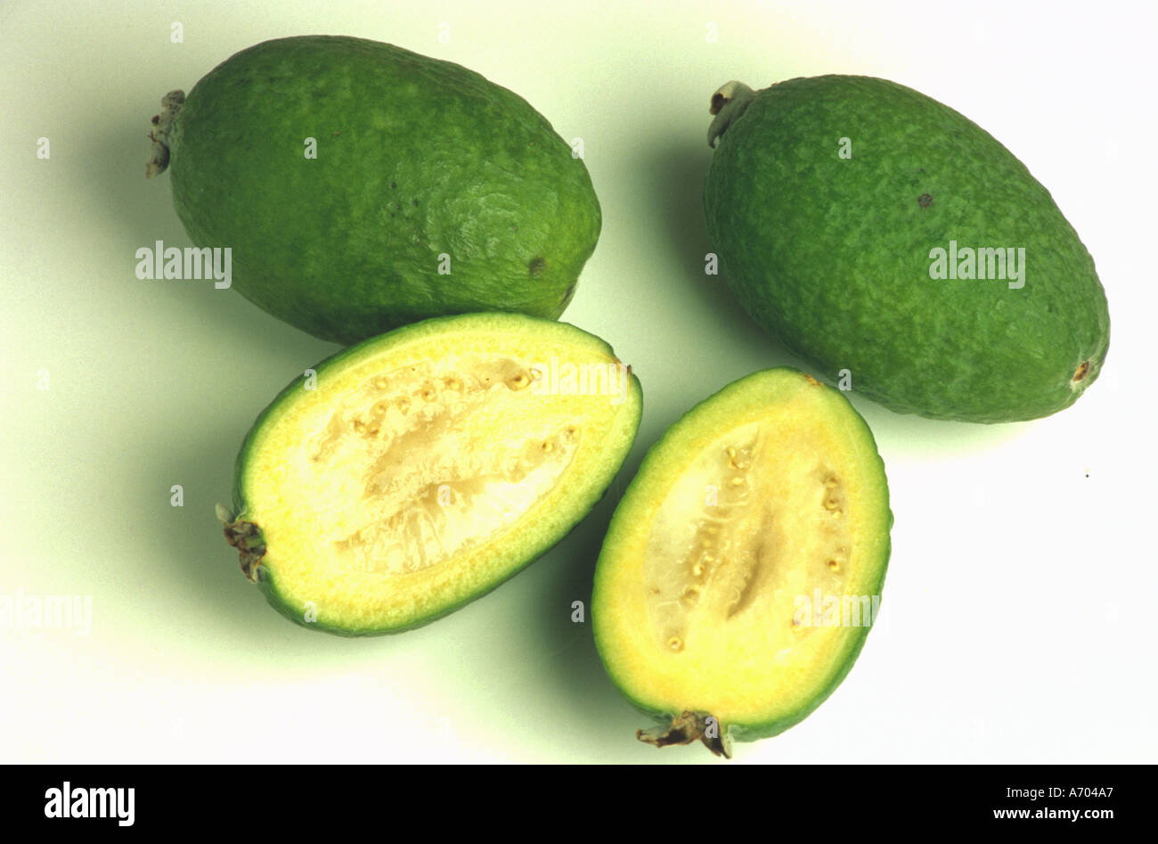 food fruit fruits exotic feijoa feijoa sellowiana southamerica Stock ...