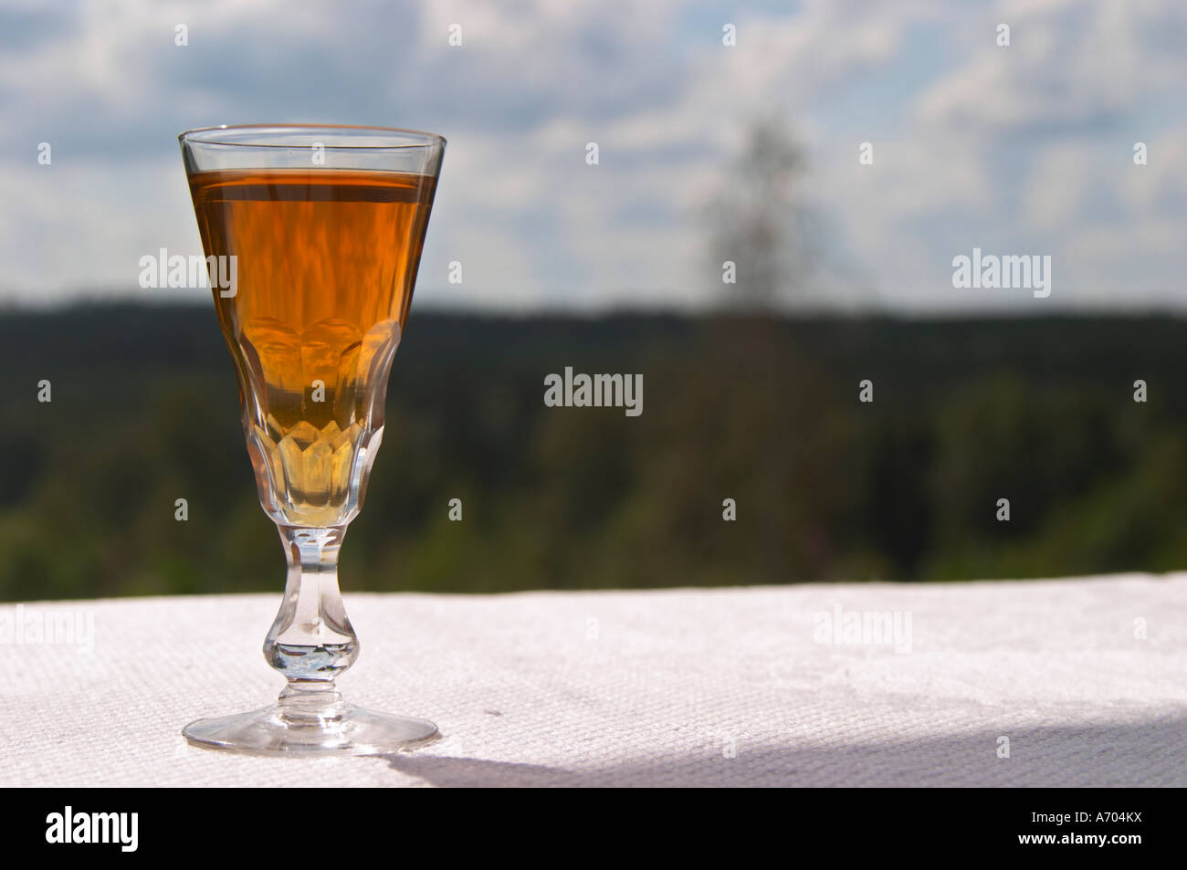 Swedish traditional aquavit schnapps glass in pointed form filled to ...