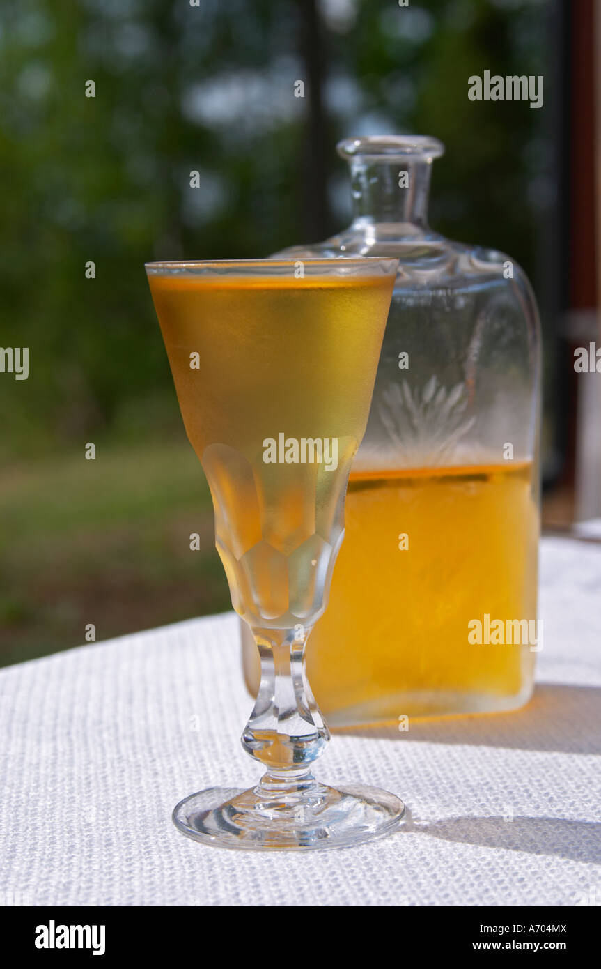 Swedish traditional aquavit schnapps glass in pointed form filled to ...