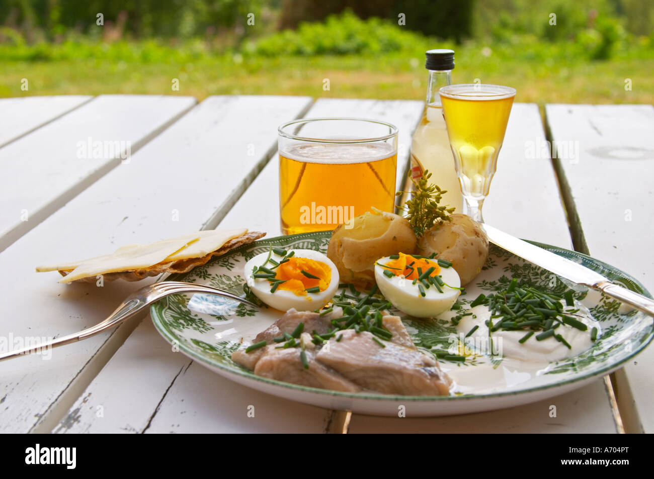 Typical Swedish Lunch