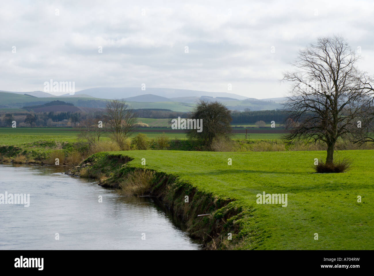 Coldstream Berwickshire Scottish Borders the River Tweed looking ...