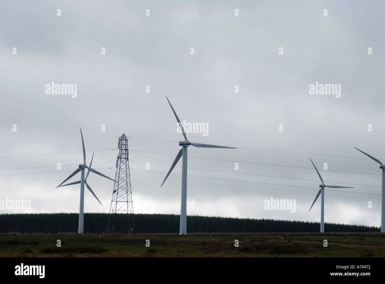 Wind turbines and power pylon Dun Law wind farm on Soutra hill in ...