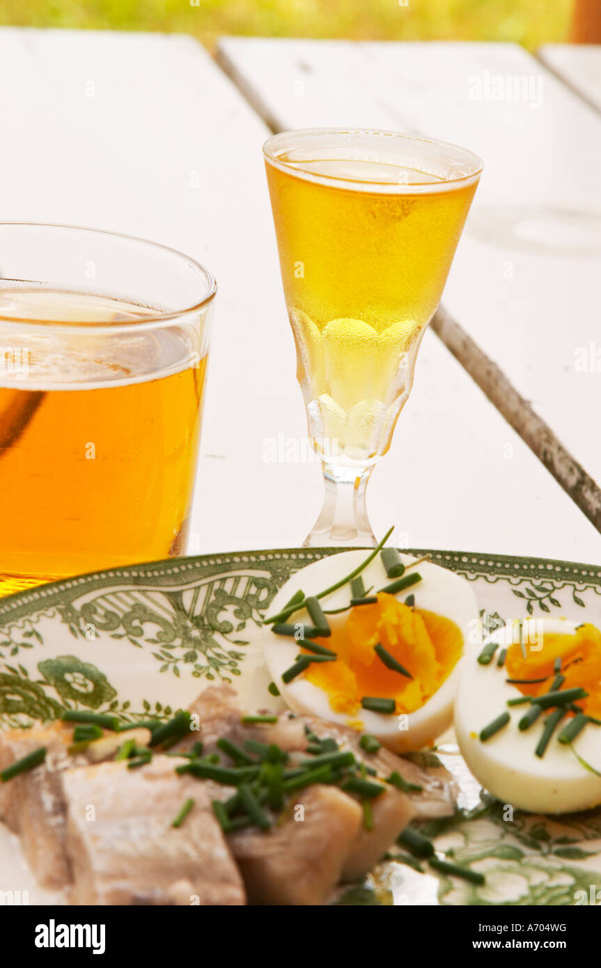 Traditional Swedish summer lunch with marinated herring sill, boiled ...