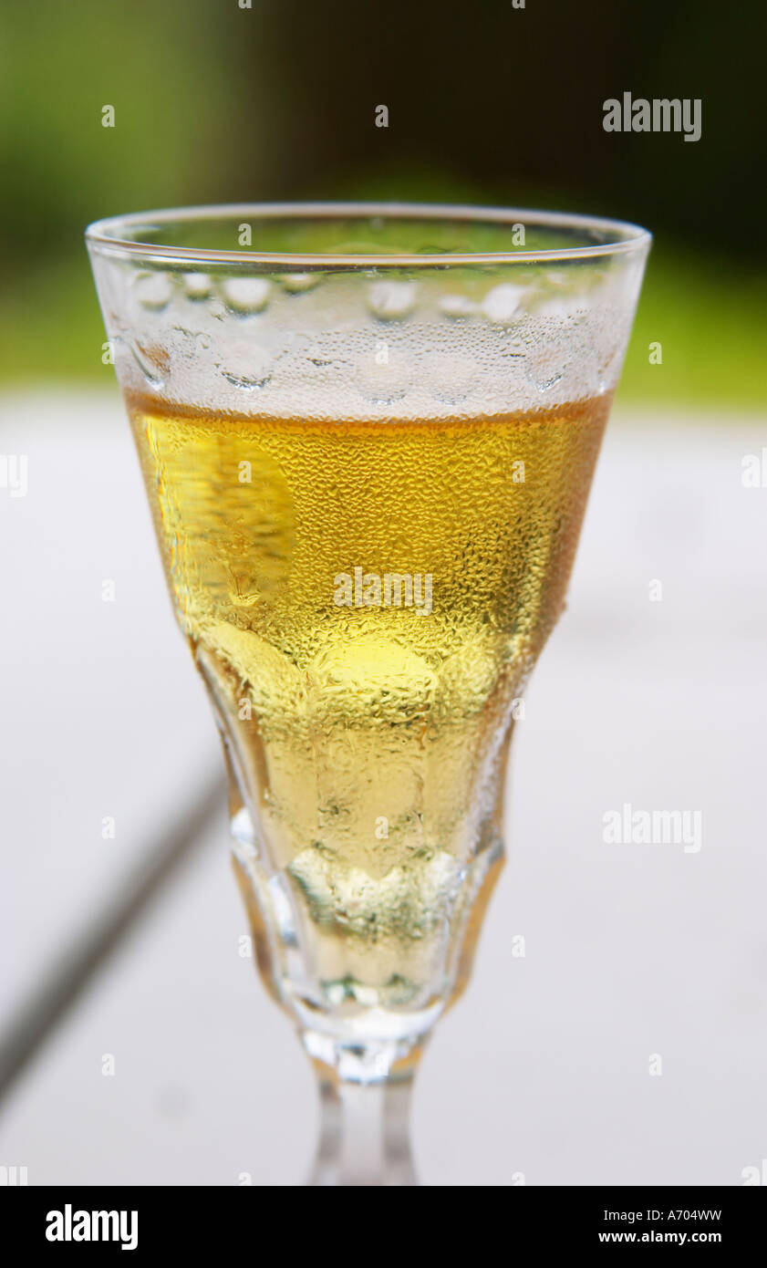 Swedish traditional aquavit schnapps glass in pointed form filled to ...