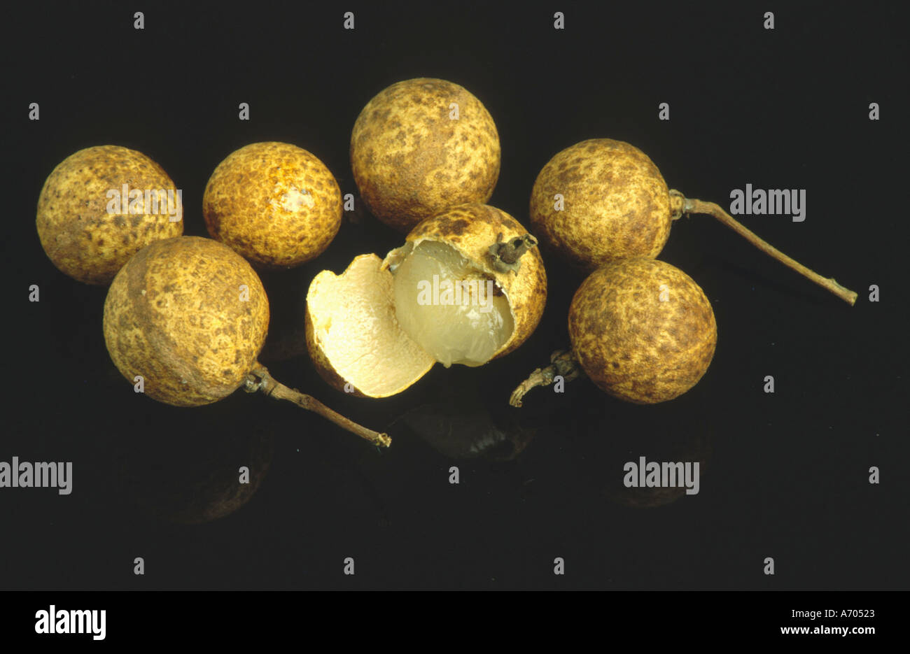 food fruit fruits exotic longane dimocarpus longan Stock Photo - Alamy