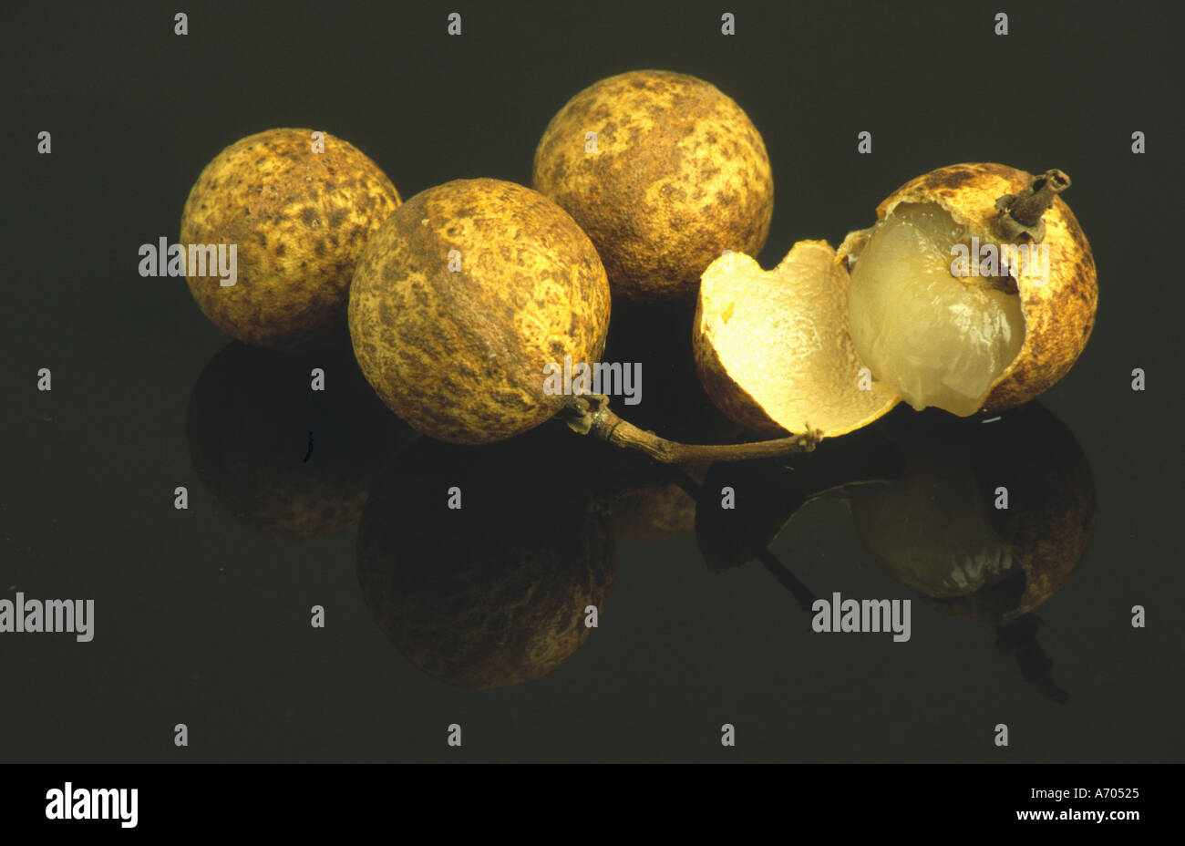 food fruit fruits exotic longane dimocarpus longan Stock Photo - Alamy