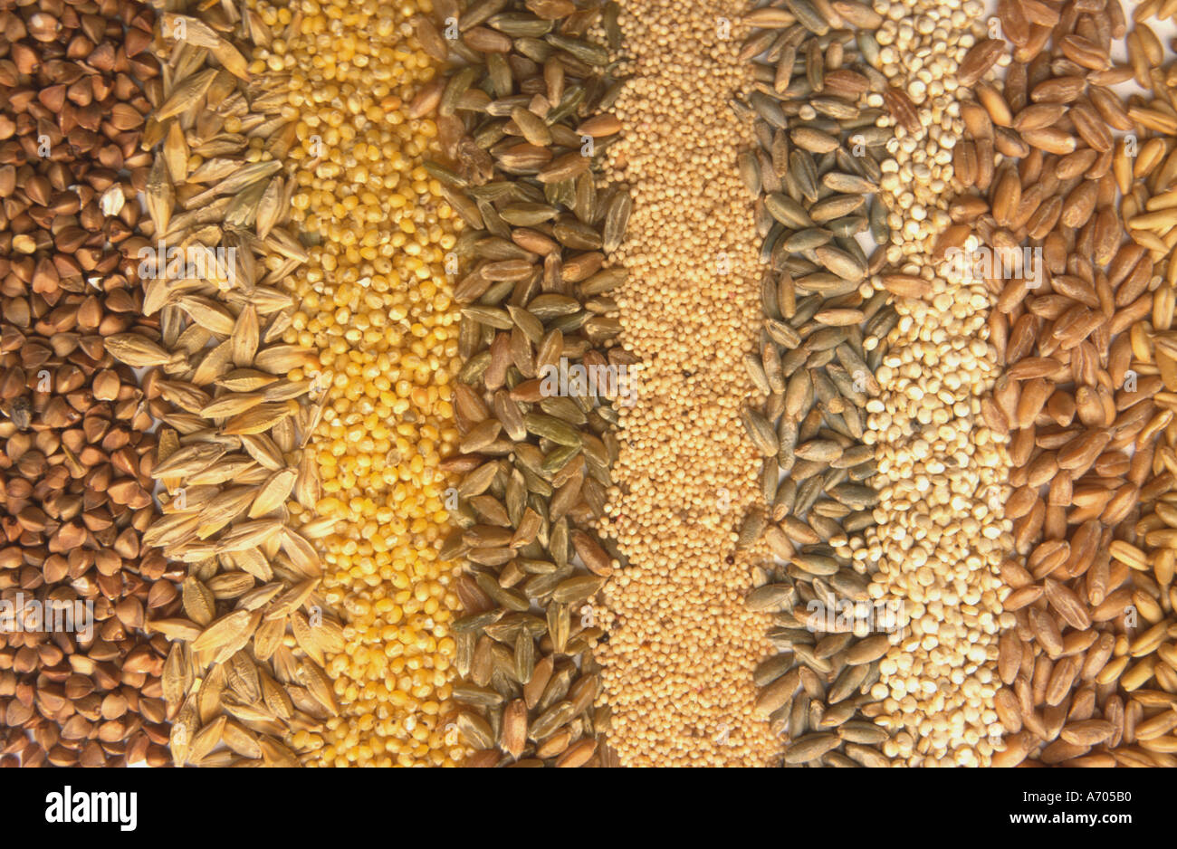 Food lines hi-res stock photography and images - Alamy