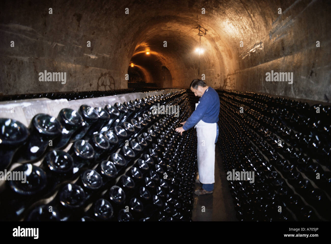 Champagne wine cellar Reims Champagne Ardennes France Europe Stock ...