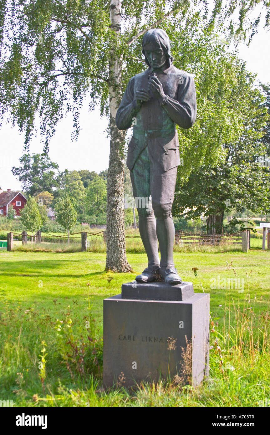 A statue of Carl Linnaeus holding a bird by Gerda Sprinchorn standing ...