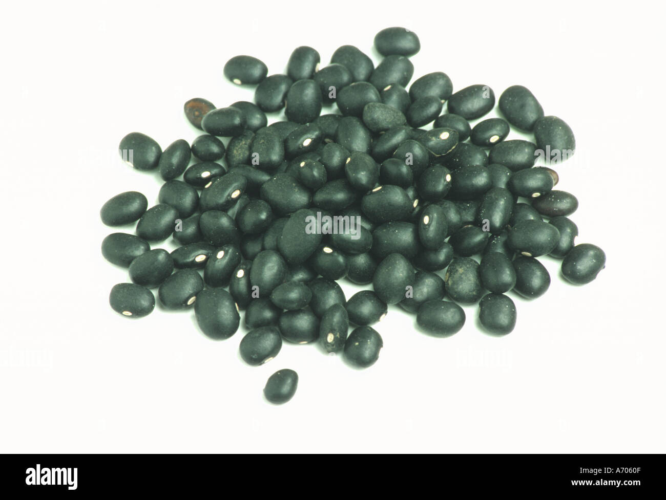 Schwarze bohnen hi-res stock photography and images - Alamy
