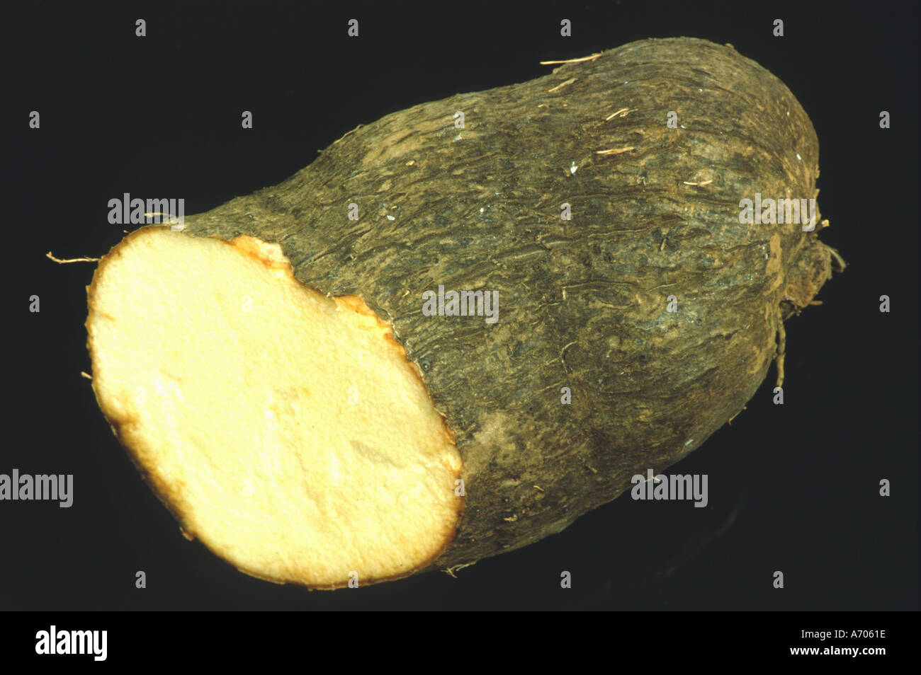 Food vegetable exotic yam yams hi-res stock photography and images - Alamy