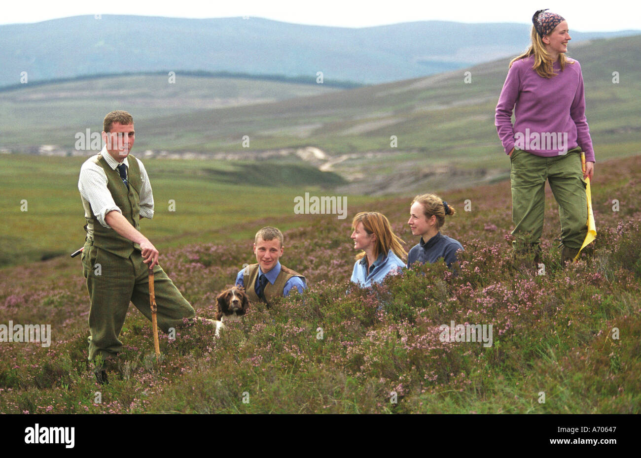 Grouse Shooting in the Scottish Highlands on August 12th Beaters Stock ...