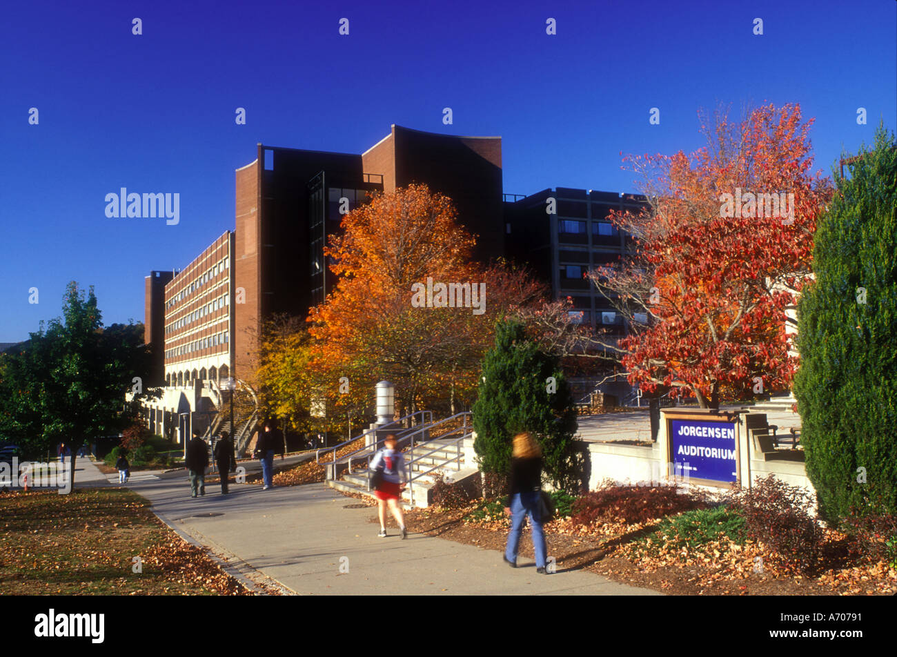 Connecticut campus hi-res stock photography and images - Alamy