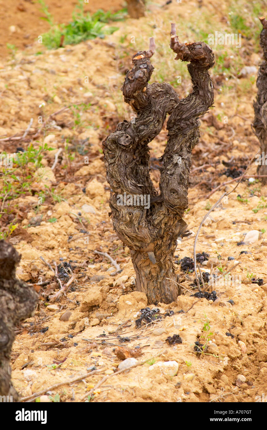 Chateau la Voulte Gasparets. In Gasparets village near Boutenac. Les ...