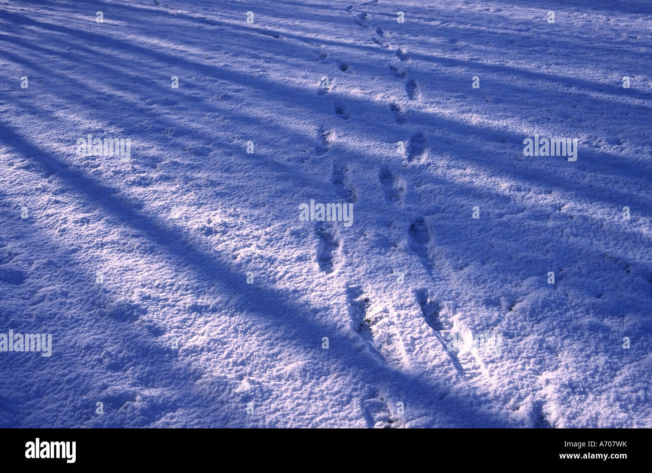 Snow and steps Stock Photo - Alamy