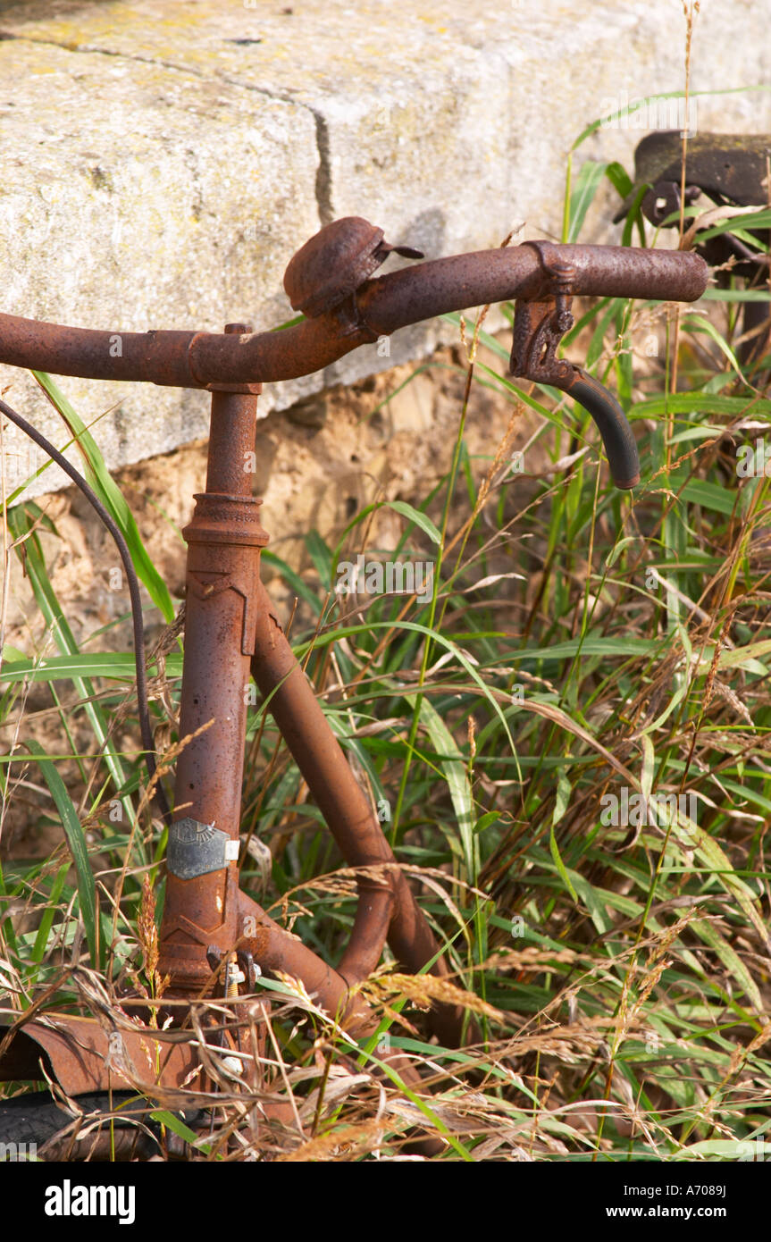 Chateau Mansenoble. In Moux. Les Corbieres. Languedoc. In the garden. A ...