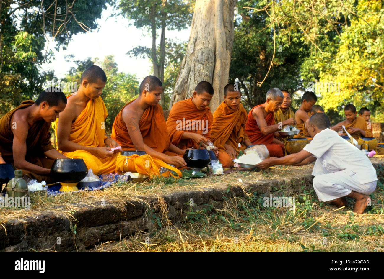 Thailand Thai Buddhist monk religion temple Monks eating meal rice food ...