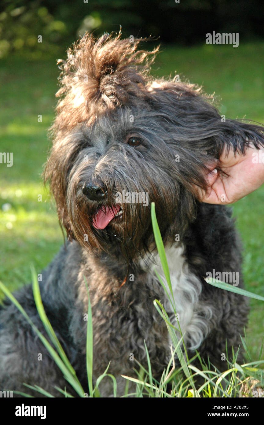 Hand scratching ear hi-res stock photography and images - Alamy
