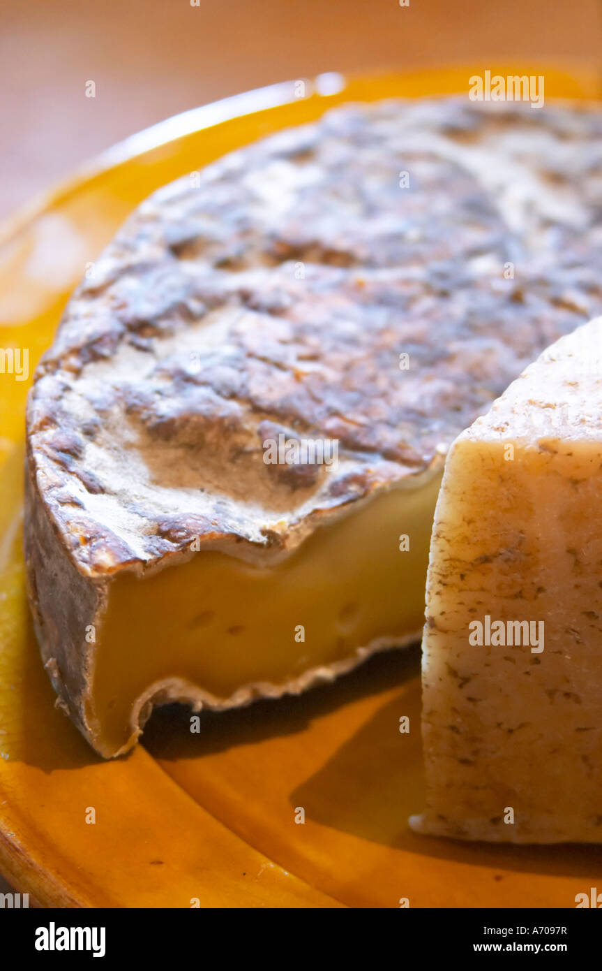 Old aged St Nectaire cheese. Domaine Piccinini in La Liviniere ...
