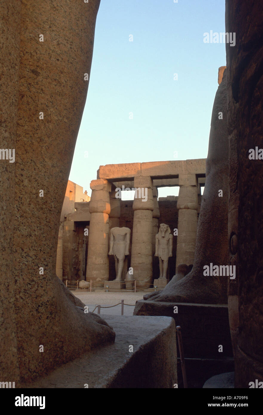 Pharaoh Leg High Resolution Stock Photography and Images - Alamy