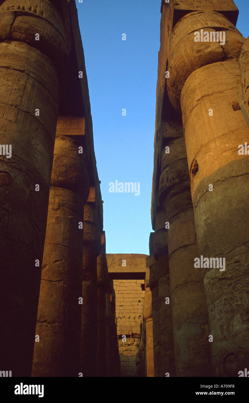 A collondade of papyrus shaped columns at Luxor Temple Stock Photo - Alamy