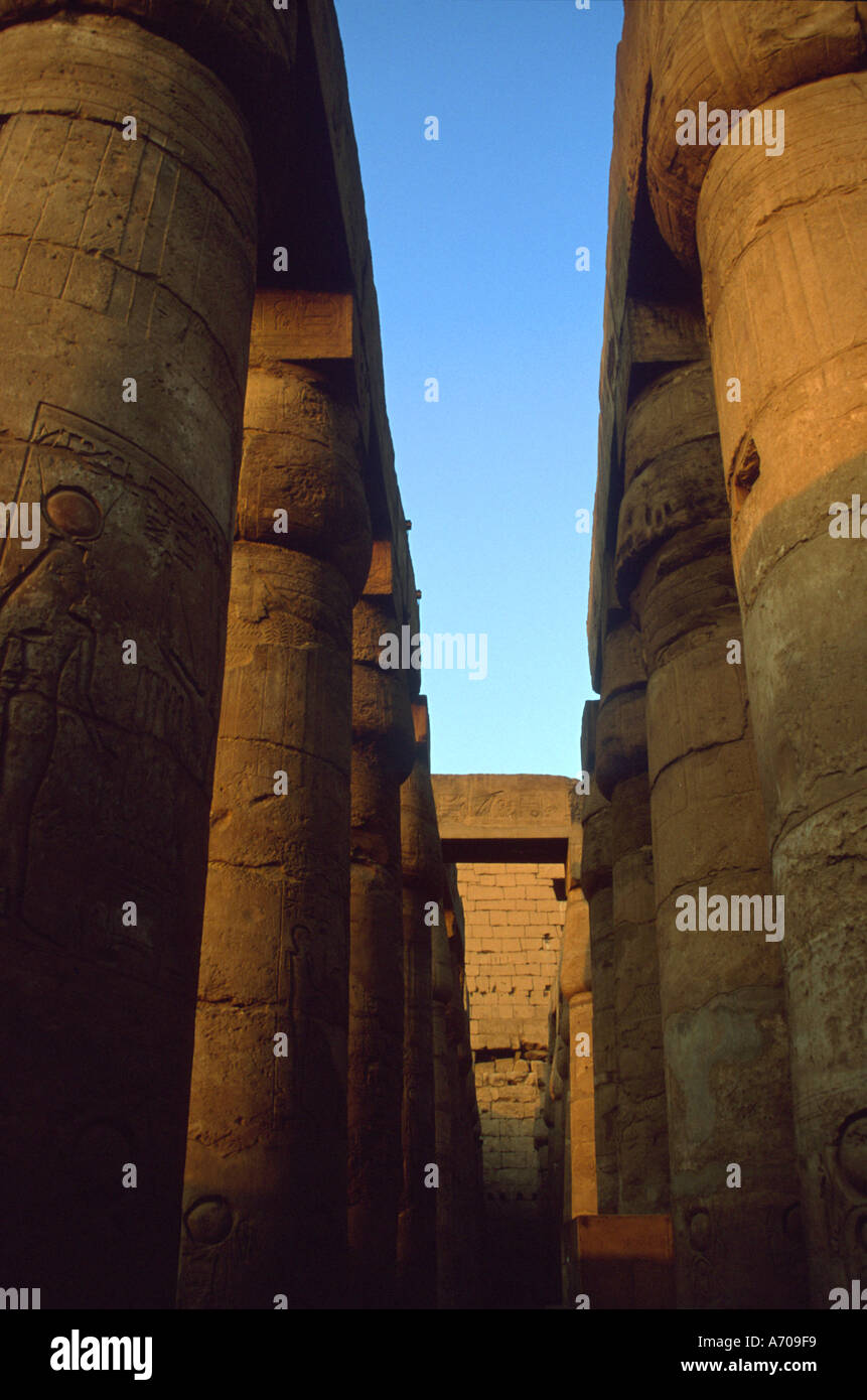 A collondade of papyrus shaped columns at Luxor Temple Stock Photo - Alamy
