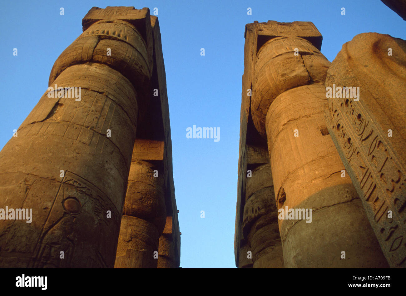 A collondade of papyrus shaped columns at Luxor Temple Stock Photo - Alamy