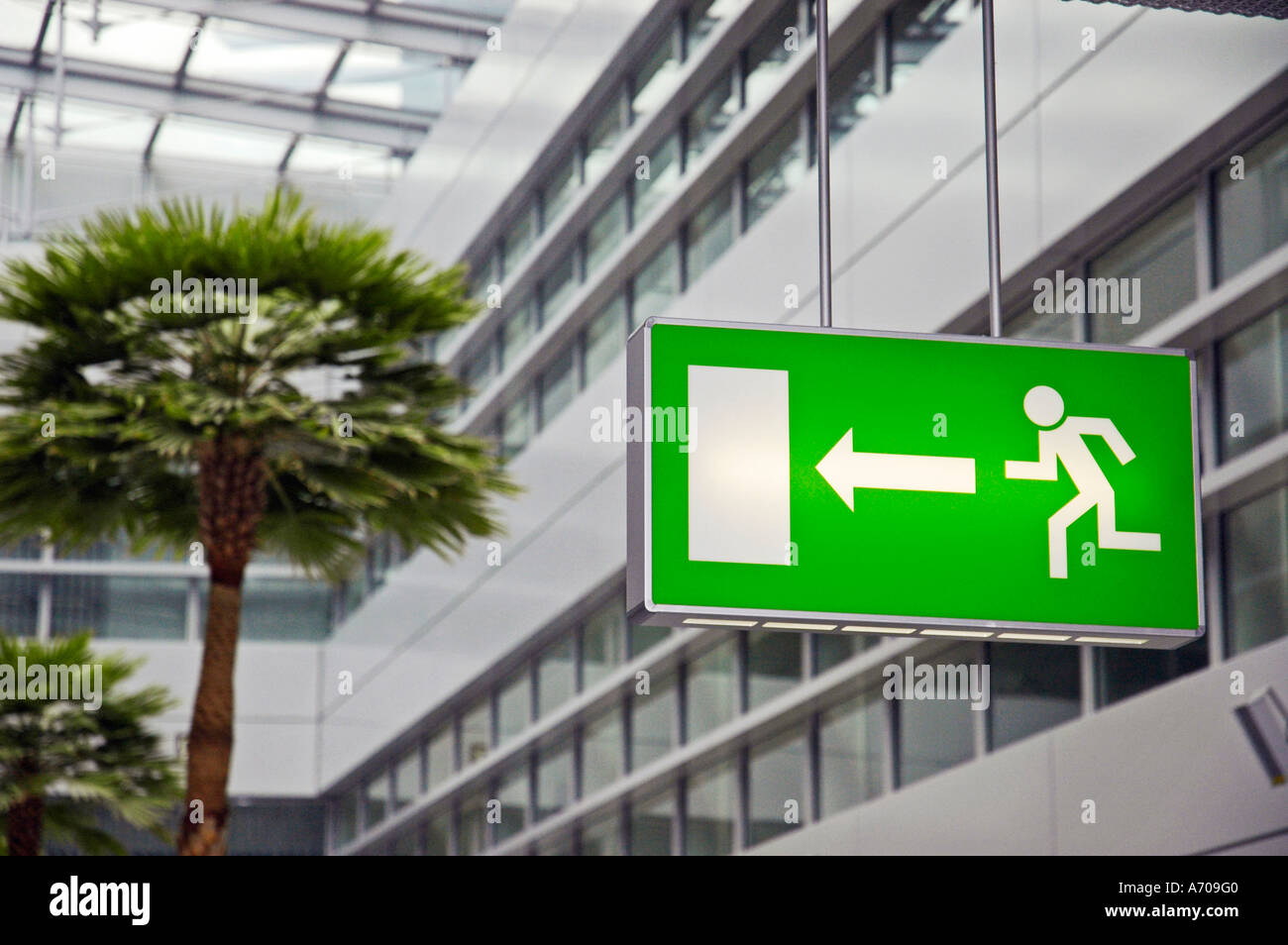 Decal information for the escape route inside a building with fake palm ...