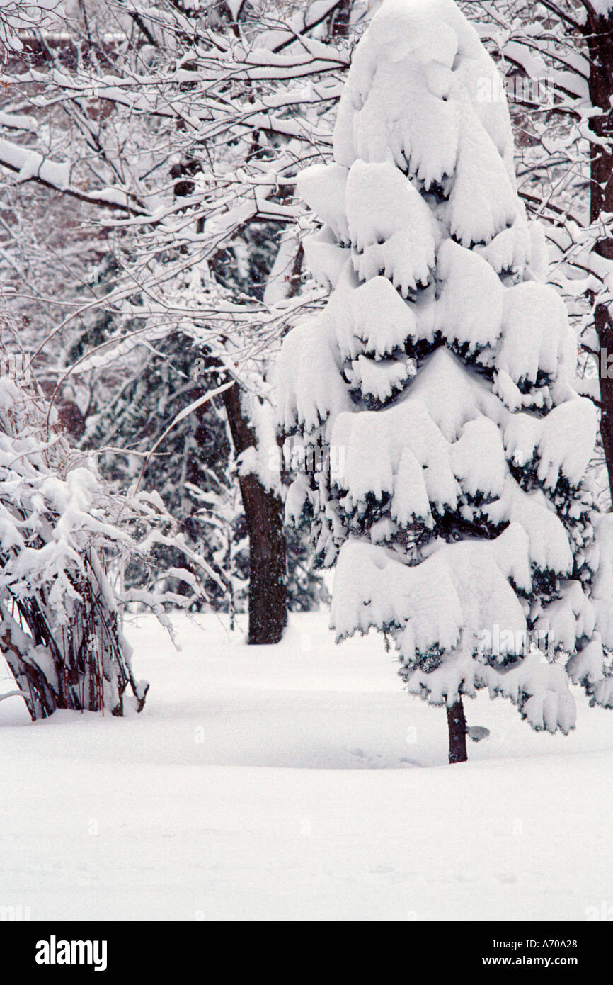 Wet snows hi-res stock photography and images - Alamy