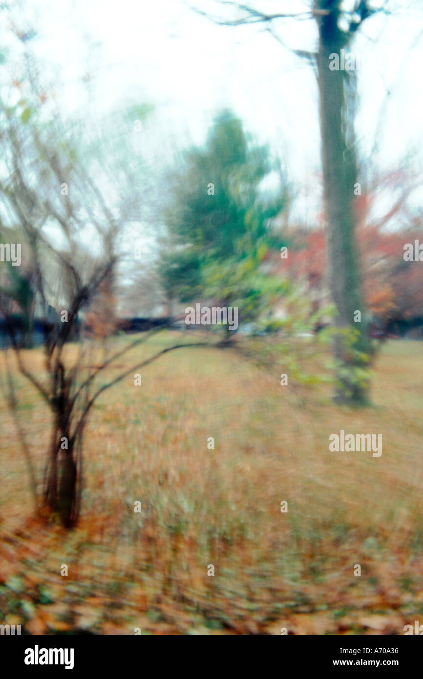 Fuzzy vision hi-res stock photography and images - Alamy