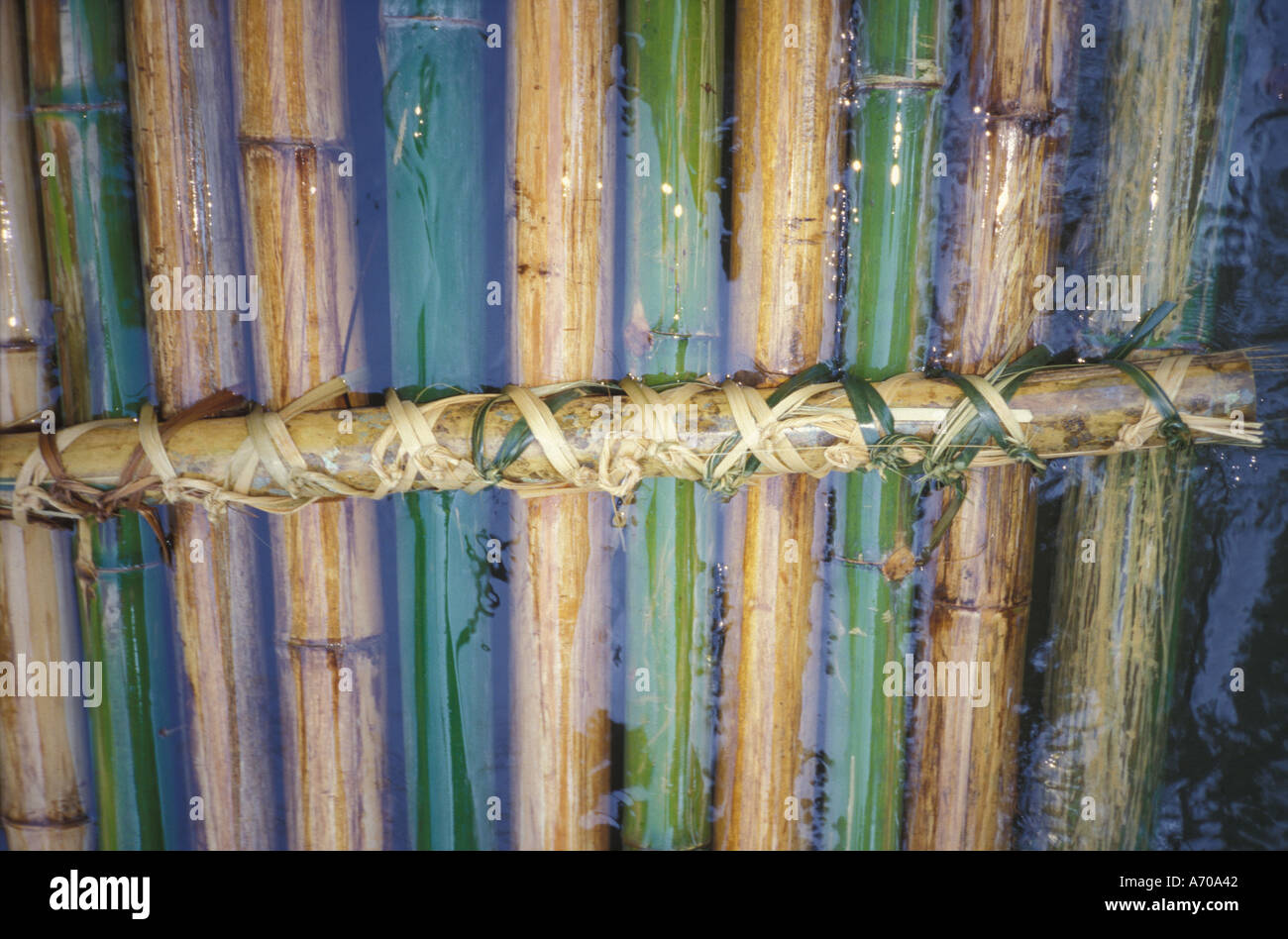 Bamboo patterns hi-res stock photography and images - Alamy