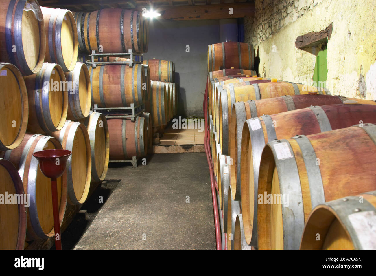 Domaine Jean Louis Denois. Limoux. Languedoc. Barrel cellar. France ...