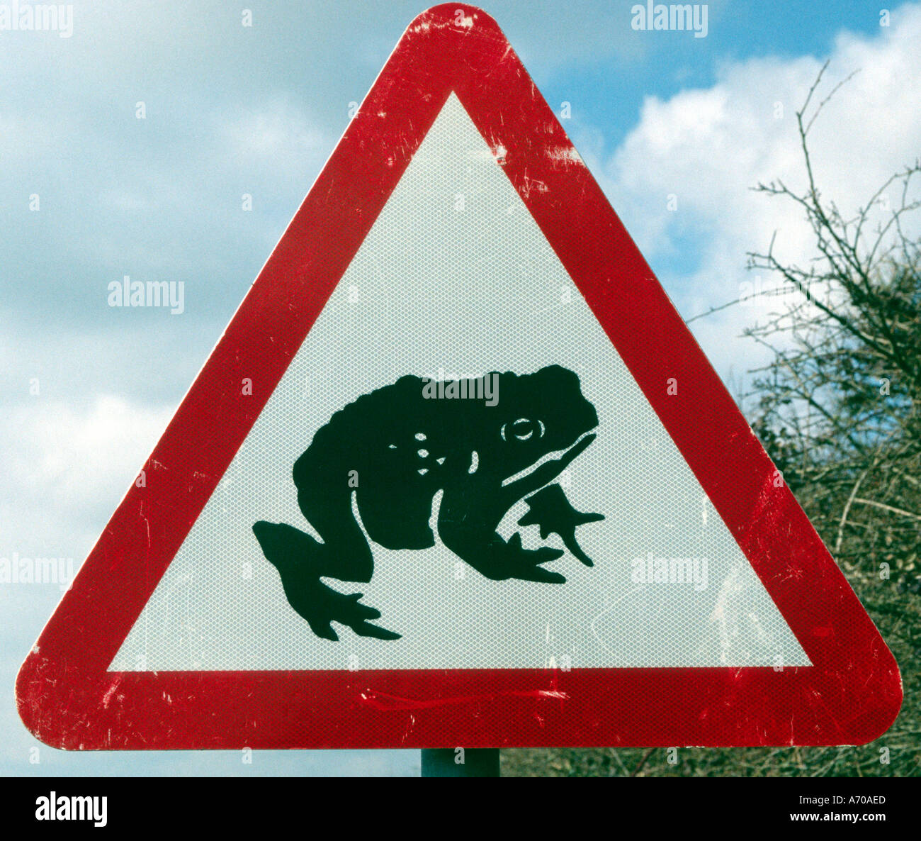 Toad Crossing Warning Sign Stock Photos & Toad Crossing Warning Sign ...