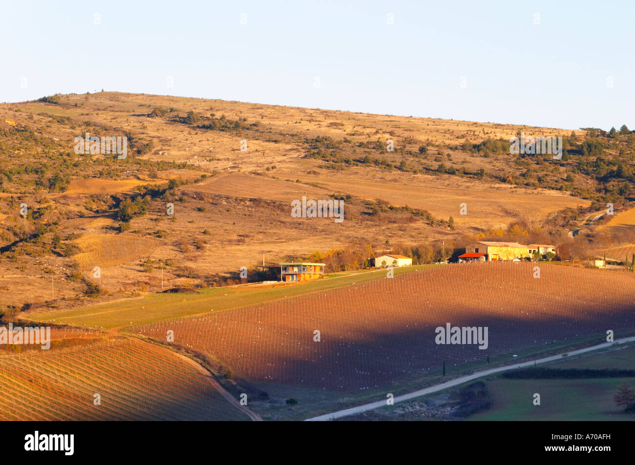 View of the vineyard and winery from afar. Domaine Jean Louis Denois ...