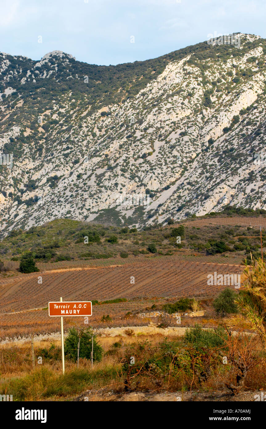 Terroir AOC Maury. Maury. Roussillon. France. Europe. Vineyard Stock ...