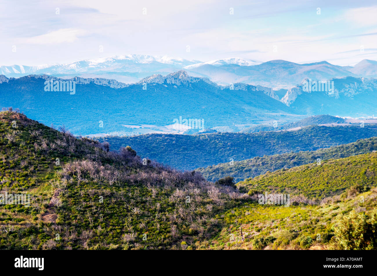 Maury. Roussillon. Vineyards. Spectacular view over the mountains ...