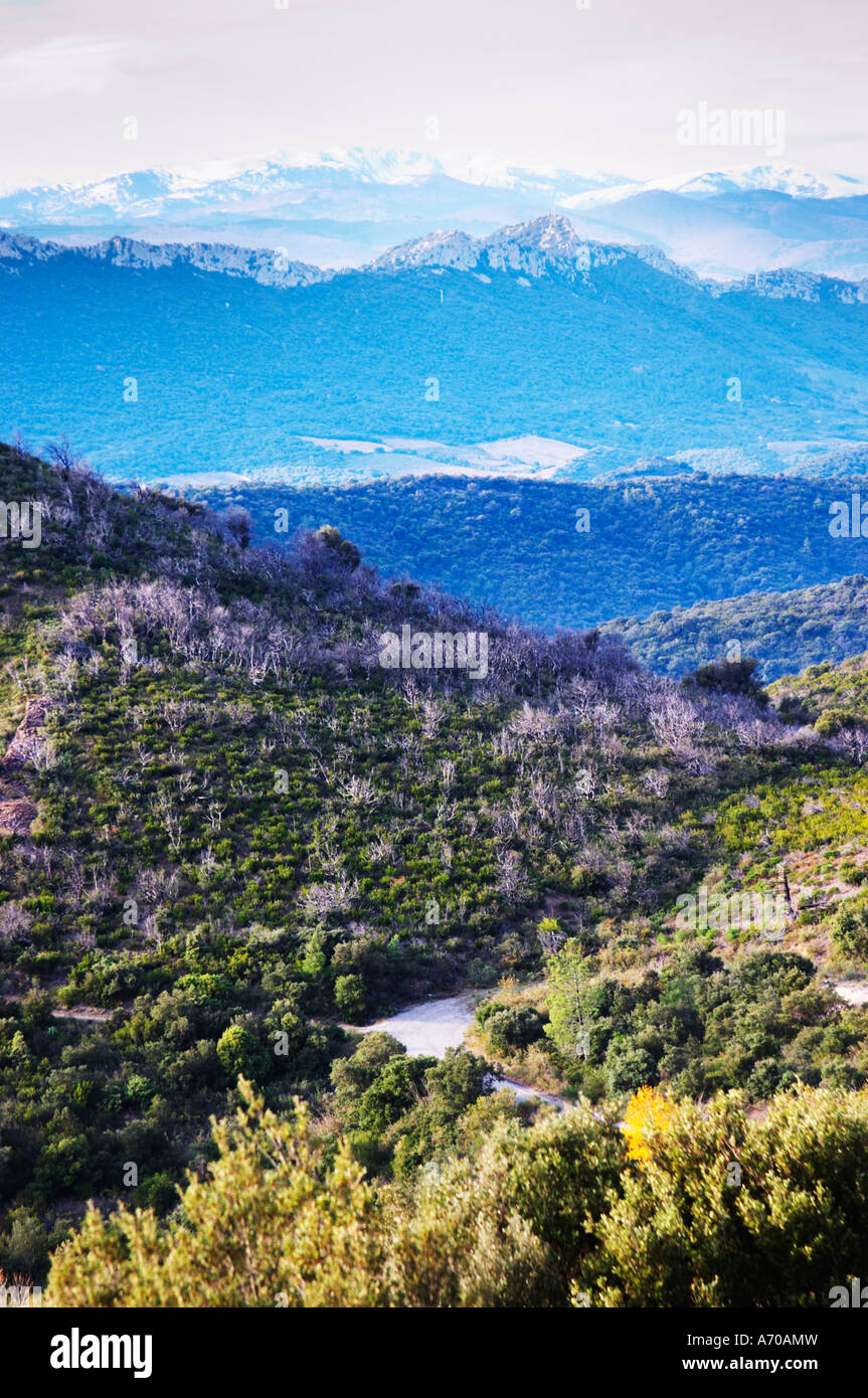 Maury. Roussillon. Spectacular view over the mountains. France. Europe ...