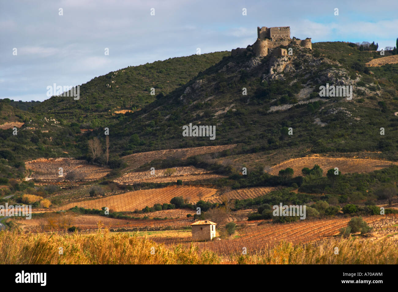 The Chateau d’Aguilar Cathar hilltop fortress dating from the 11th and ...