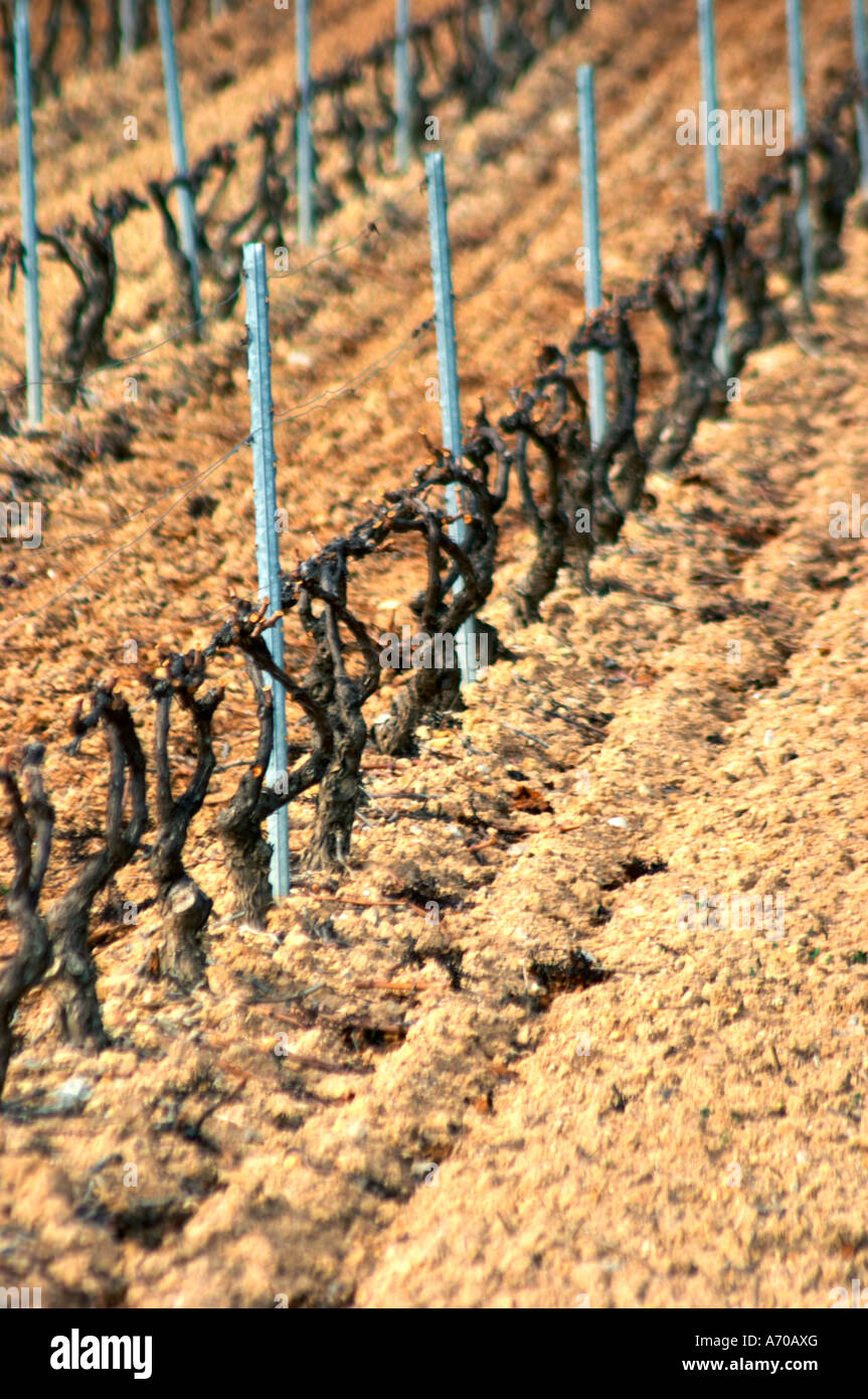 Cordon royat hi-res stock photography and images - Alamy