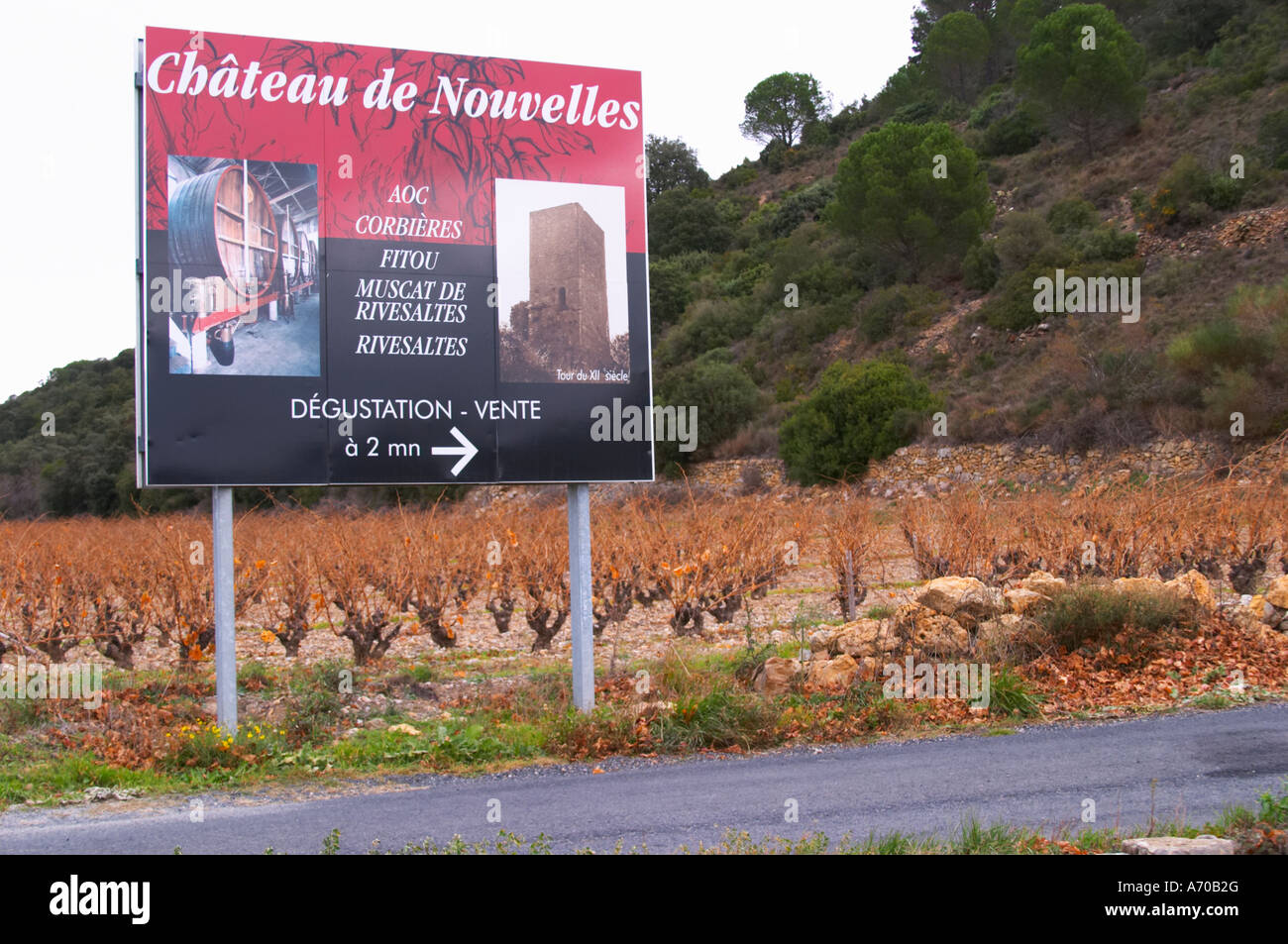 AOC Corbieres, Fitou, Muscat de Rivesaltes, tasting and sales. Chateau ...