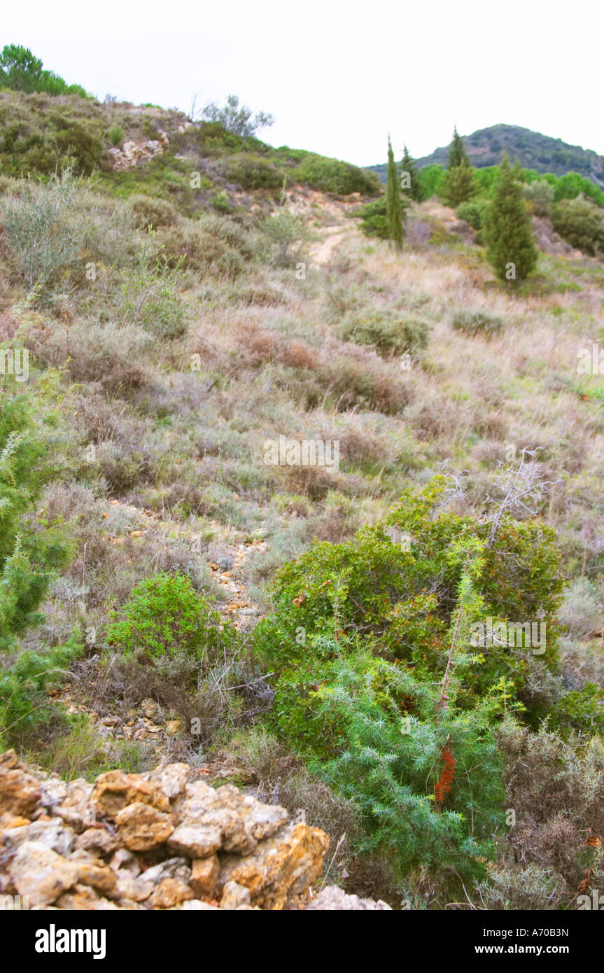 Mont Tauch Cave Cooperative co-operative In Tuchan. Fitou. Languedoc ...